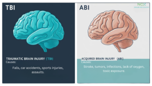 Understanding Brain Injuries: Types, Causes, And Recovery | NCX Brain ...